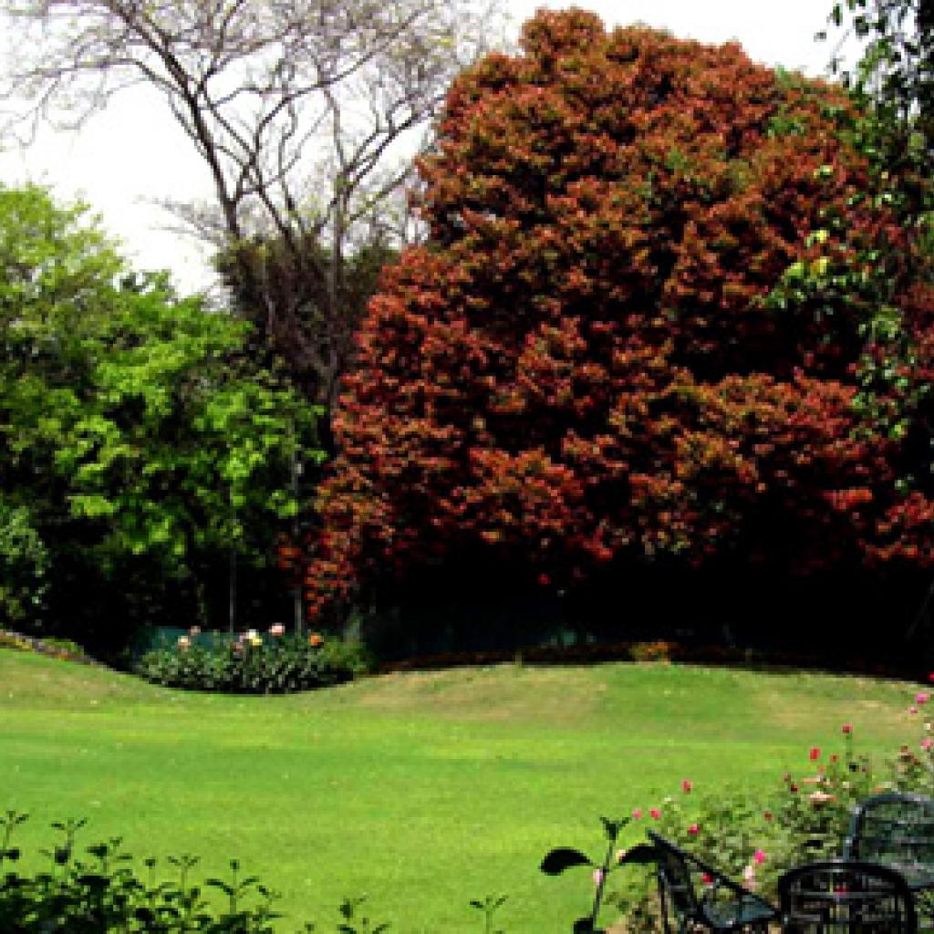 ROSE GARDEN | India International Centre